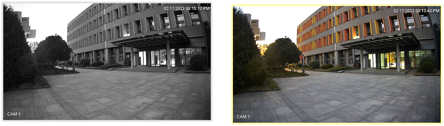 ColorView Cameras: Live Life In Color